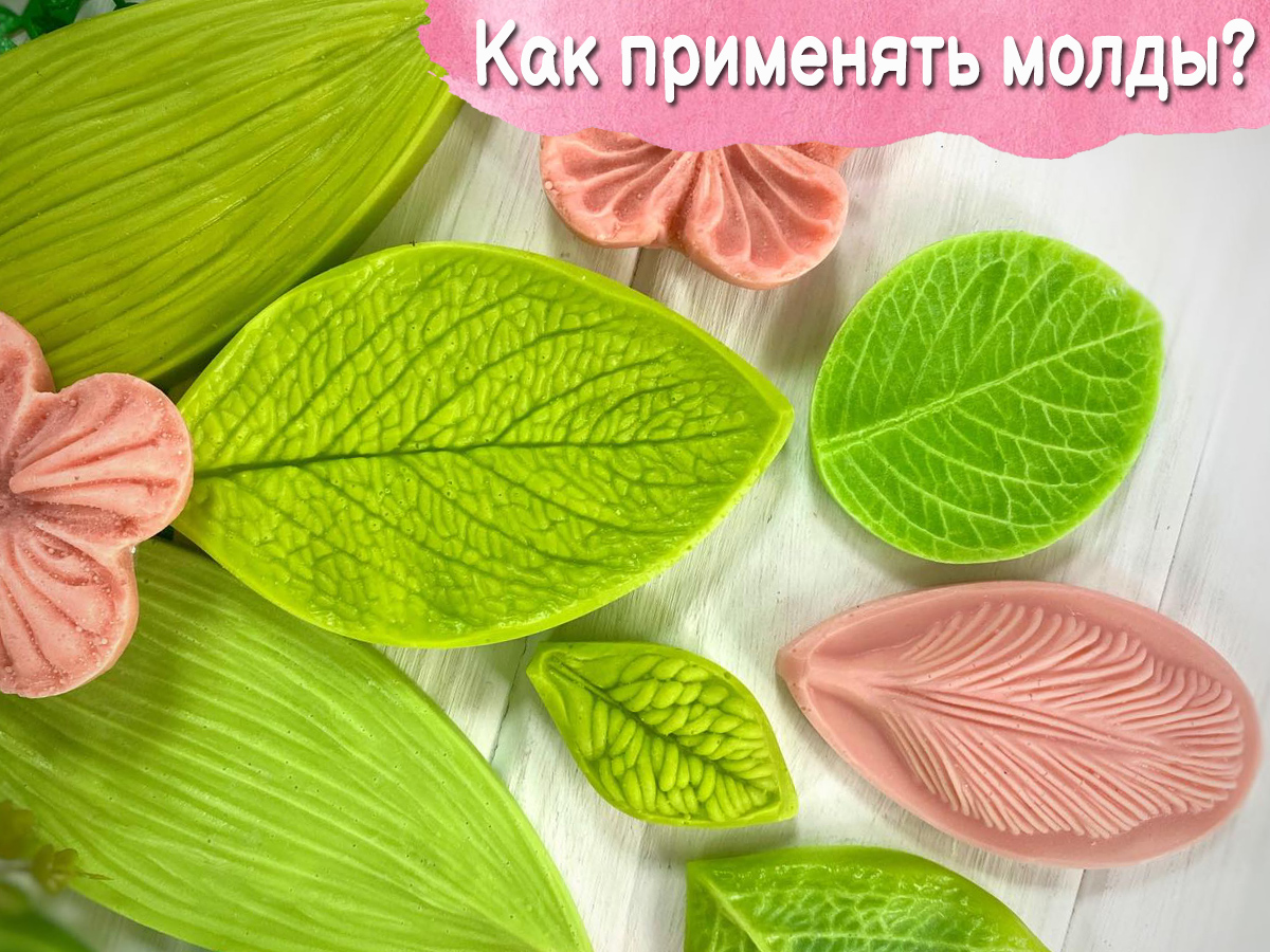 Молды - купить в Киеве с доставкой по Украине | 100IDEY.com.ua