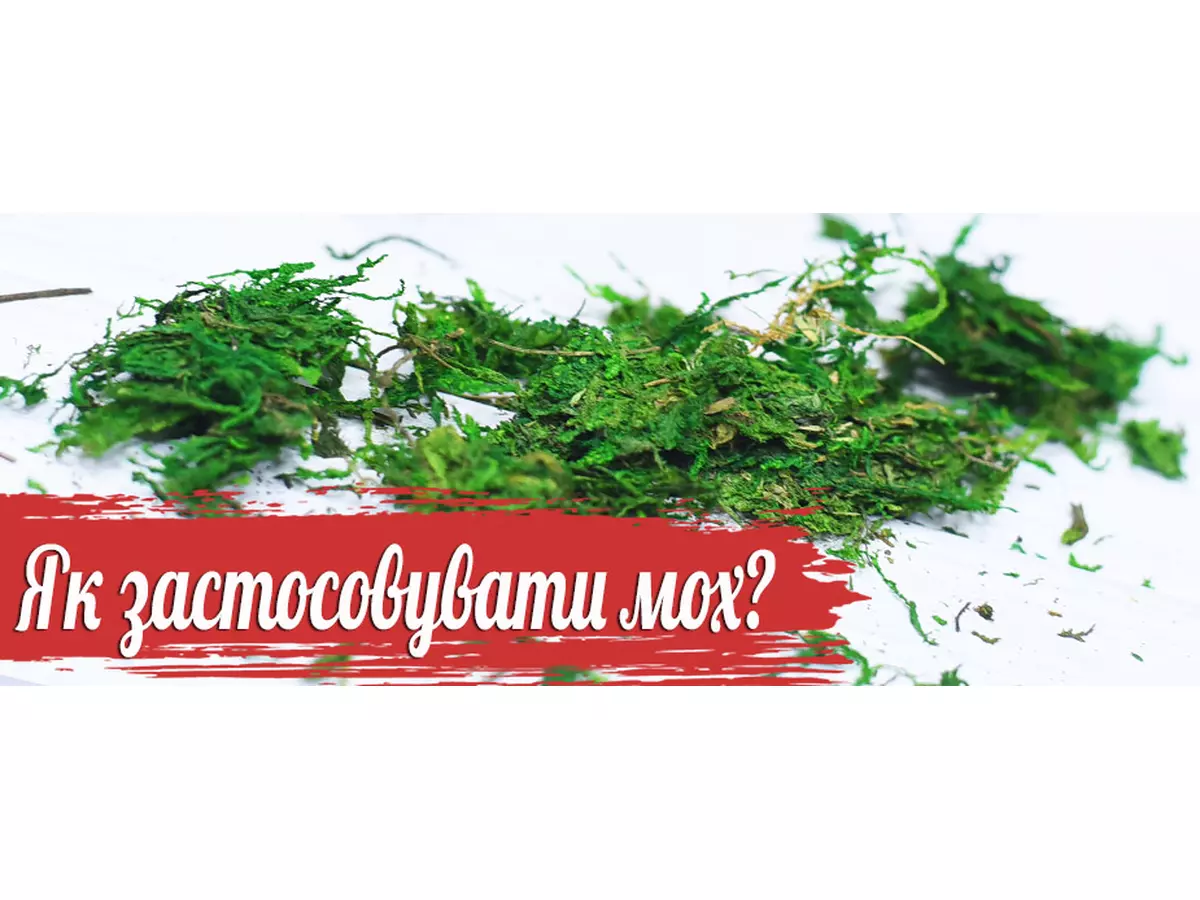 Druhy mechu na dekoraci - koupit v Kyjevě s doručením na Ukrajině